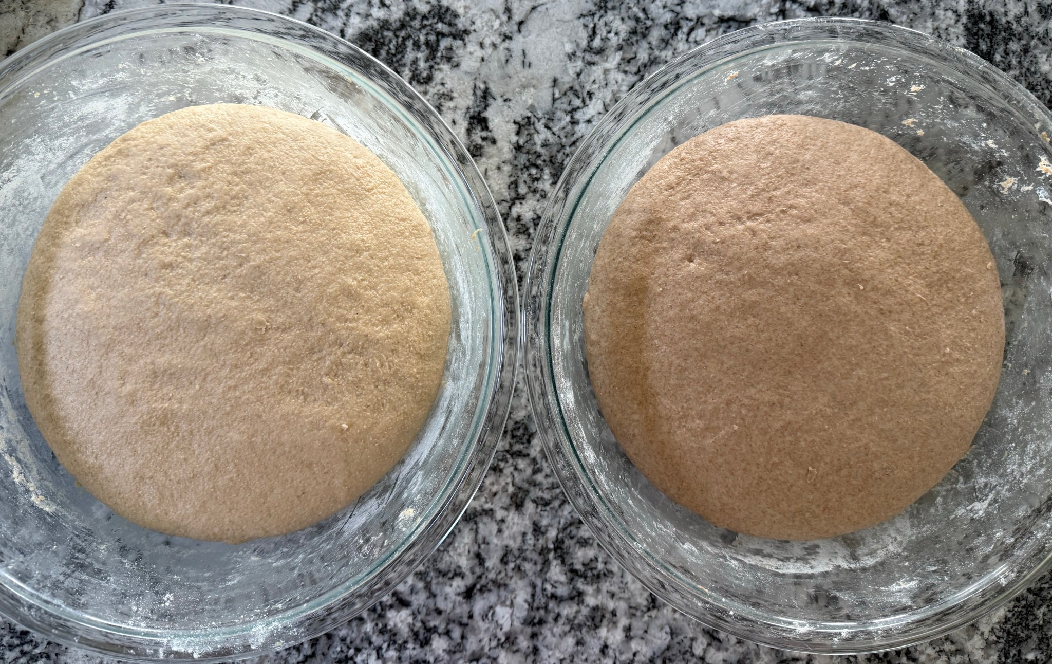 Freshly Milled vs Store-Bought Flour: A Baking Experiment – A Baker's ...